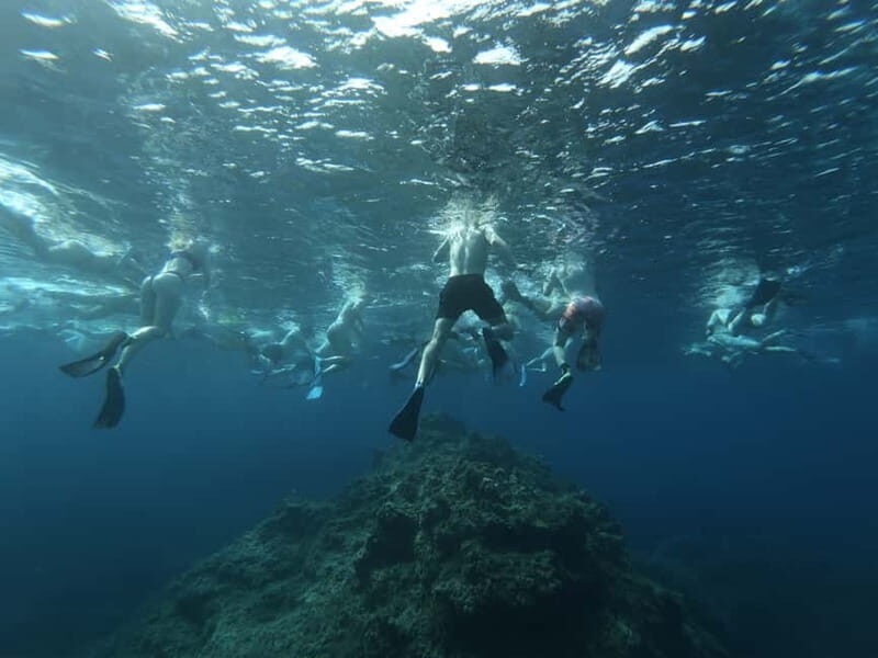Malta: Snorkeling Tour - What This Tour Offers: A Deep Dive
