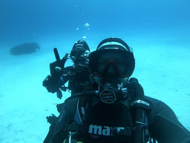 Malta: St. Paul's Bay 1 Day Scuba Diving Course - Key Points