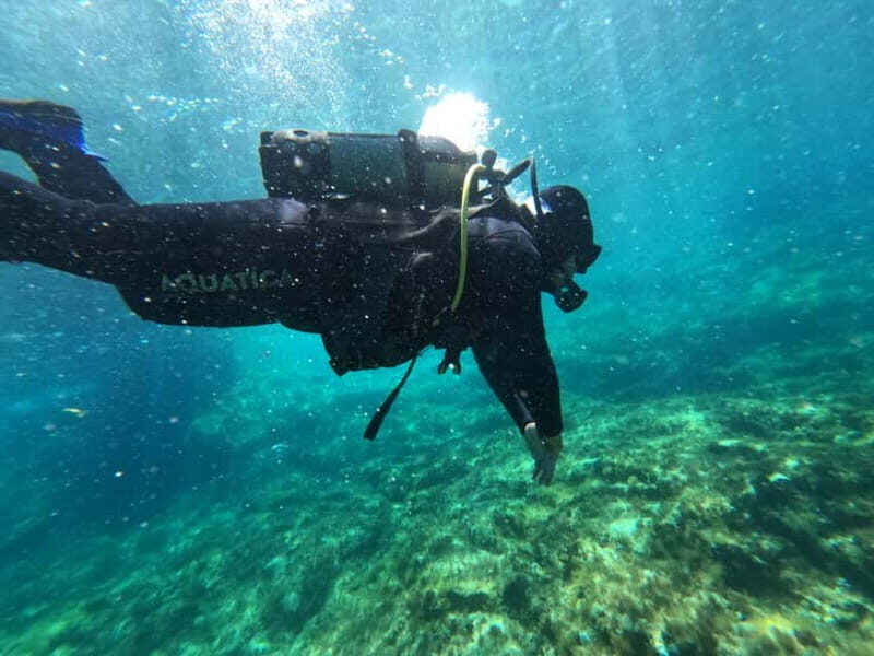 Malta: St. Paul's Bay 1 Day Scuba Diving Course - FAQ