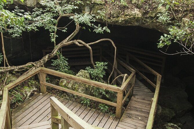 Mamma Gal Celeb-Key Native Exp. Shared Tour - How Does It Compare to Other Experiences?