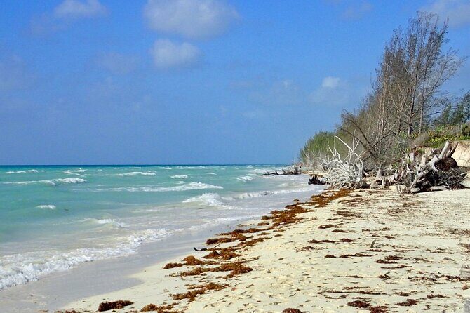 Mamma Gal Celeb-Key Native Exp. Shared Tour - The Practicalities: Price, Duration, and Booking