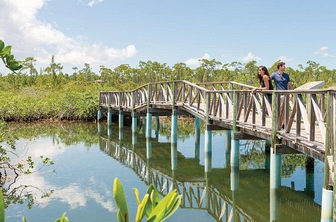 Mamma Gal Celeb-Key Native Exp. Shared Tour - Who Is This Tour Best For?