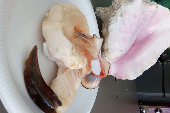 Mamma Gal Native Experience - Key Points