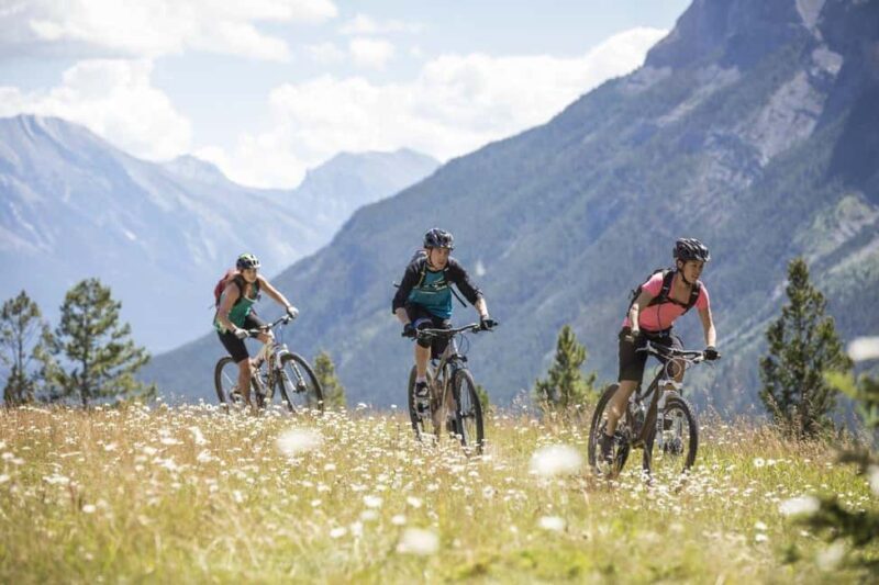 Mammoth: Half-Day Premium Mountain Bike or E-Bike Rental - An Authentic Wyoming Outing with a Practical Twist