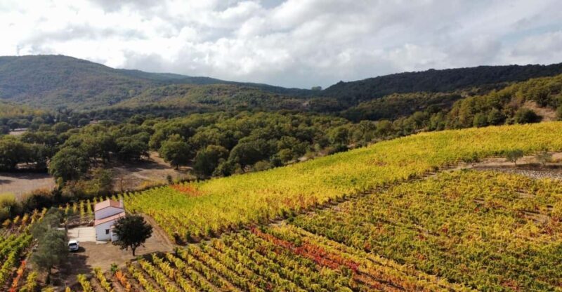 Mamoiada: visit a winery with wine tasting - Key Points