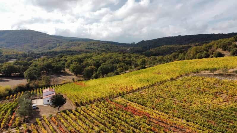 Mamoiada: visit a winery with wine tasting - Final Thoughts