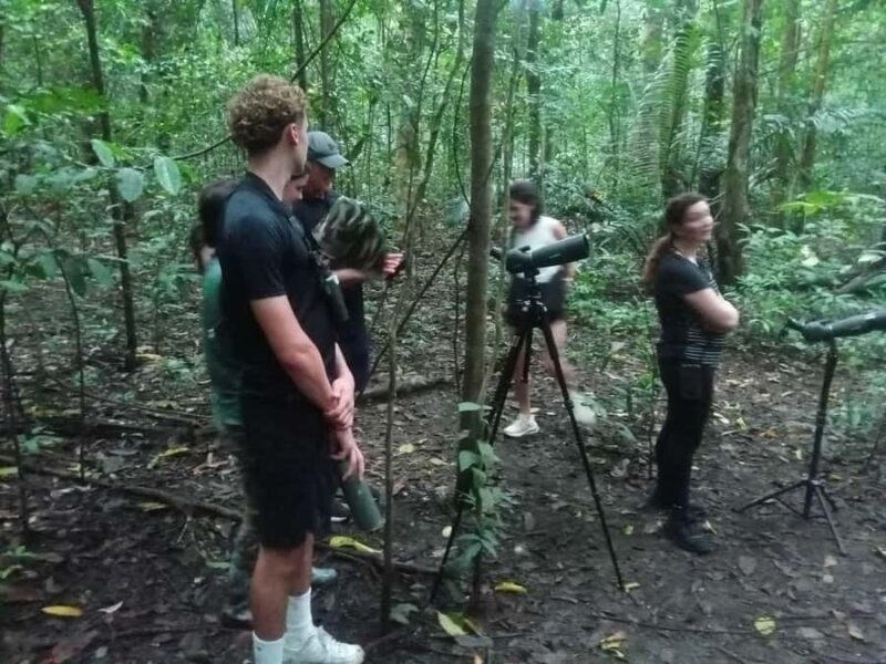 Manado: Tangkoko Wildlife, Waruga, and Lembeh Strait Tour - FAQ