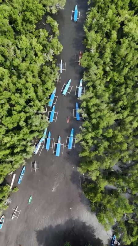 Manado: Tarsier Mangrove Forest Kayak Tour - Visualizing the Experience