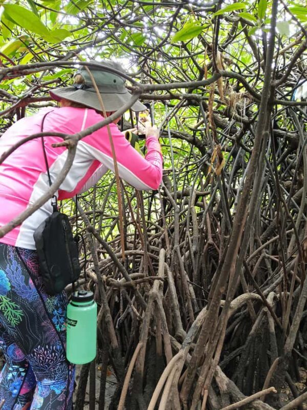 Manado: Tarsier Mangrove Forest Kayak Tour - Who Will Love This Tour?