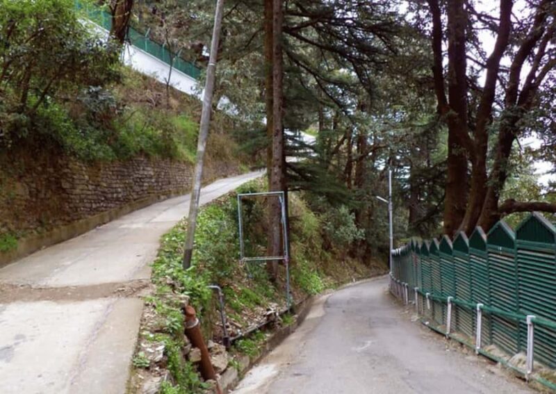 Manali Nature Walk (3 Hours Guided Trekking Experience) - Authenticity and Authentic Experiences
