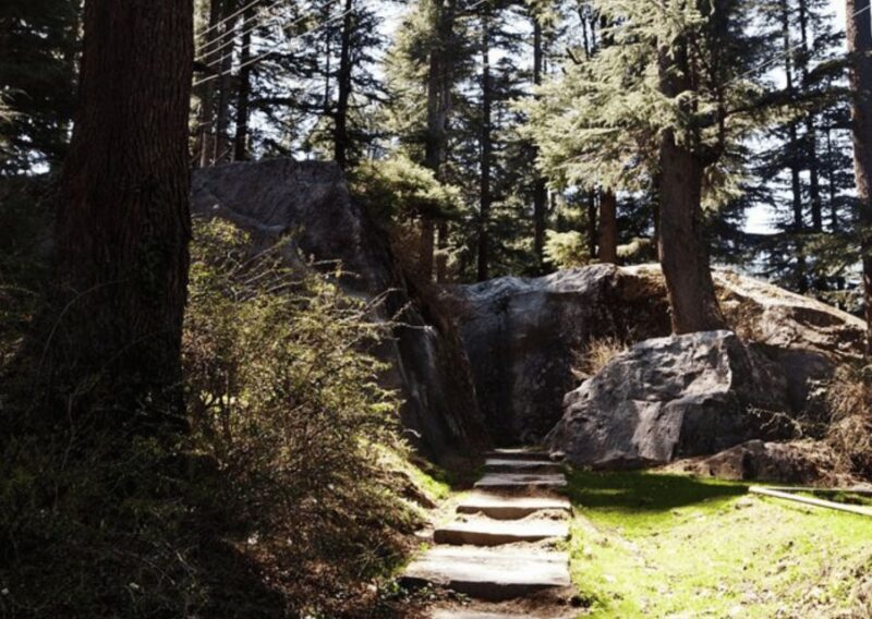 Manali Nature Walk (3 Hours Guided Trekking Experience) - Key Points