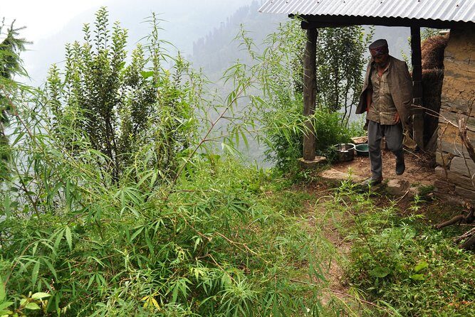 Manali Village Tour - Who Will Love This Tour?