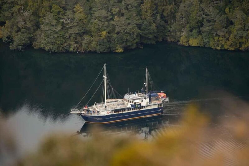 Manapouri: Doubtful Sound Overnight Cruise (2 Nights) - Authentic Experiences & Traveler Insights