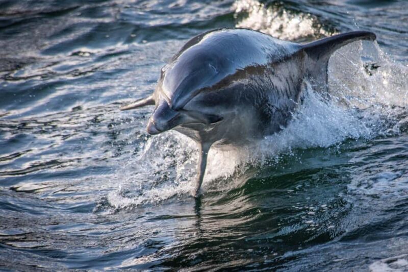 Manapouri: Doubtful Sound Overnight Cruise (2 Nights) - The Sum Up: Who Will Love This Experience?
