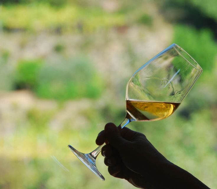 Manarola: Cinque Terre Wine Tasting - What You Can Expect During the Tour