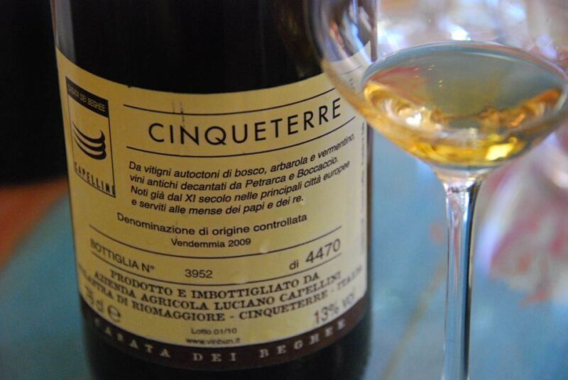 Manarola: Cinque Terre Wine Tasting - Who Will Enjoy This Tour?