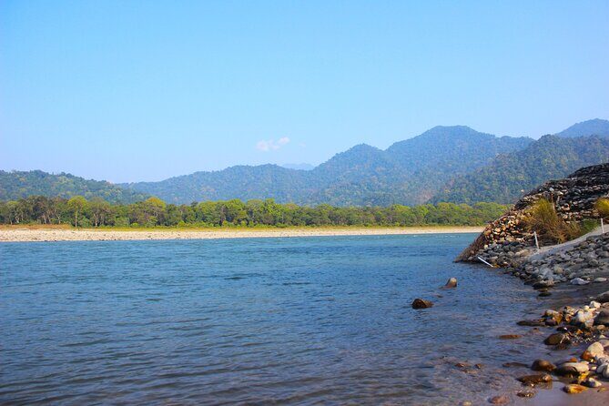 Manas National Park Safari, Lunch with pick up from Guwahati - A Closer Look at the Manas National Park Safari from Guwahati