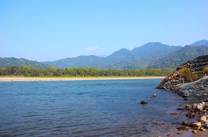 Manas National Park Safari, Lunch with pick up from Guwahati - The Sum Up