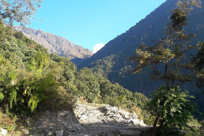 Manaslu Circuit Lodge Trekking Tour - The Logistics and Value