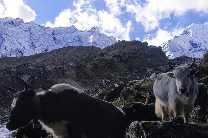 Manaslu Circuit Trek - Key Points