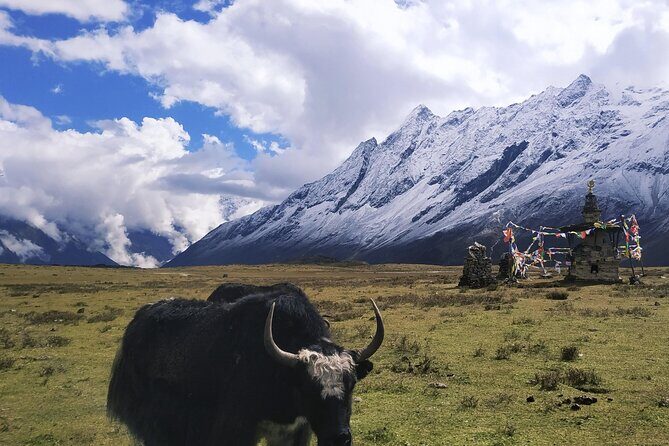 Manaslu Circuit Trek - Who Will Get the Most Out of This Trek?