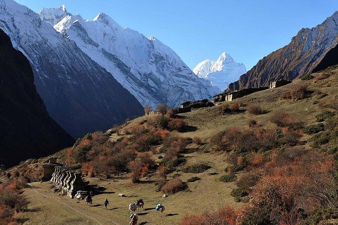 Manaslu Circuit Trek - 14 Days - An In-Depth Look at the Trekking Experience