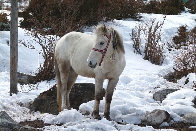 Manaslu Circuit Trek 17 Nights 18 Days - Day 3: Kathmandu to Soti Khola