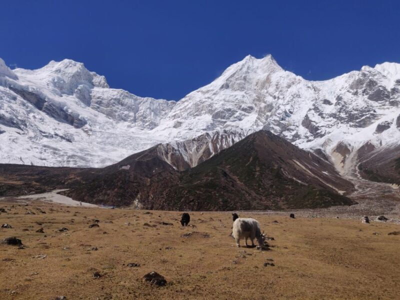 Manaslu Circuit Trek - Final Thoughts: Is It Worth It?