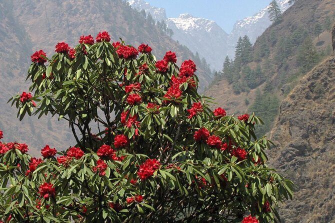 Manaslu Circuit Trek - Why this matters: