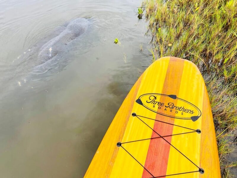 Manatee and Nature Tour of Ormond Beach - An Immersive Guide to the Ormond Beach Manatee and Nature Tour