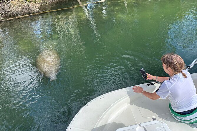 Manatee and Wildlife Boat Tour - Why This Tour Stands Out