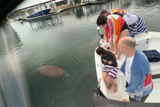 Manatee and Wildlife Boat Tour - FAQ