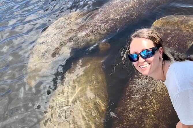 Manatee, Dolphin and 10,000 Islands Sunset Cruise! - What You Can Expect from This Tour
