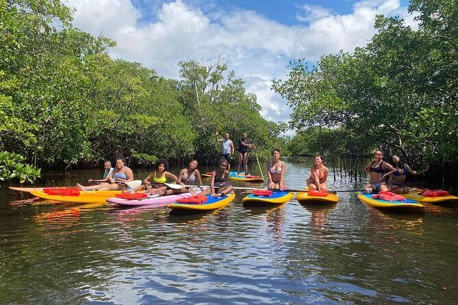 Manatee Encounter Guided Eco Kayak or Paddle Board Adventure - Who Will Love This Tour?