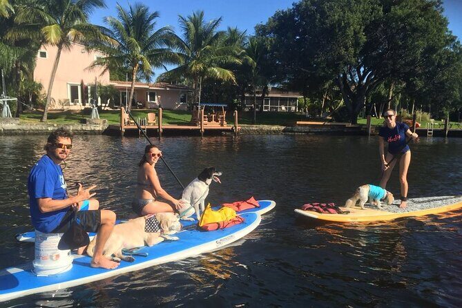 Manatee Encounter Guided Eco Kayak or Paddle Board Adventure - FAQ
