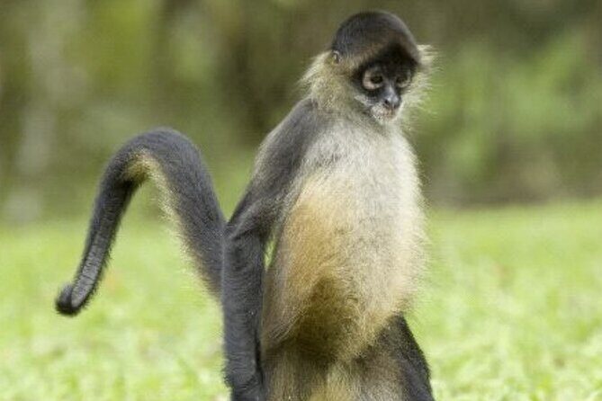 Manatee Magic Private 3 Hour Swim Heated Boat with Restroom - Who Will Love This Tour?