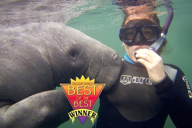Manatee Snorkel Tour from American Pro Diving Center - The Sum Up