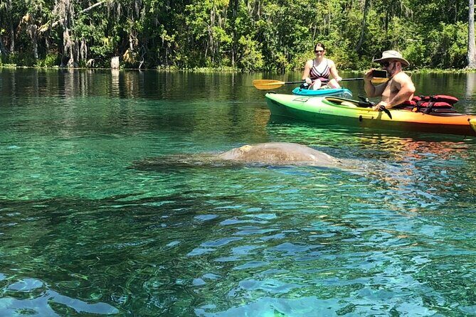 Manatee Springs Adventure Tour - Exploring the Manatee Springs Adventure Tour: A Closer Look