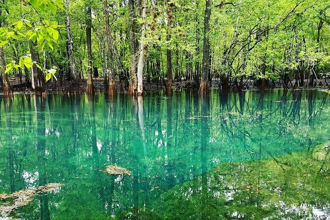 Manatee Springs Adventure Tour - What You Can Expect During the Tour
