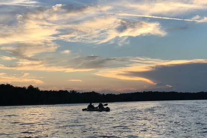 Manatee Springs Adventure Tour - Why This Tour Is Worth Considering