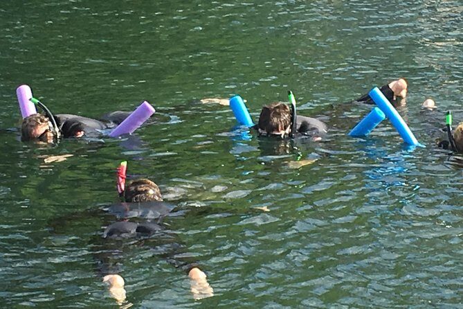 Manatee Swim and Wildlife Park with Upgrade Options from Orlando - Authentic Experiences and Realistic Expectations