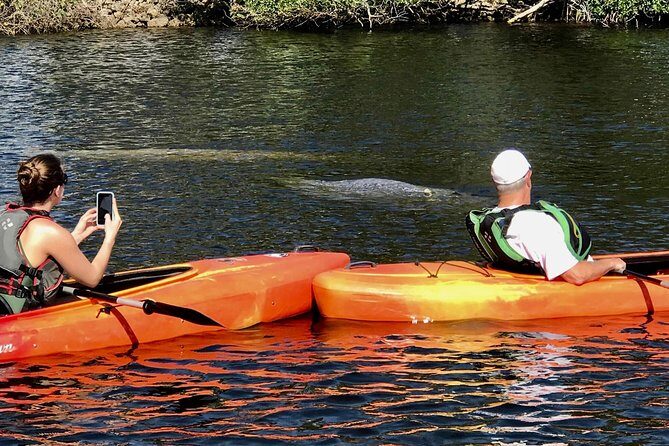 Manatees and Mangrove Tunnels Small Group Kayak Tour - Who Should Book This Tour?