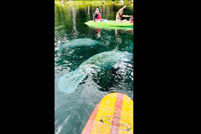 Manatees, Monkeys and Florida Natural Spring Adventure Tour - Final Thoughts