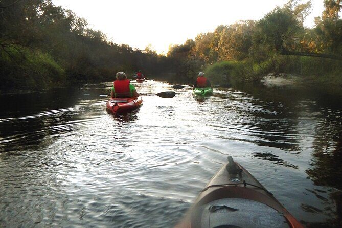 Manatees/Sunset/Bioluminescence Tour - Authentic Perspectives from Travelers