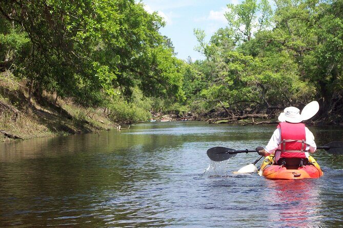 Manatees/Sunset/Bioluminescence Tour - Final Thoughts
