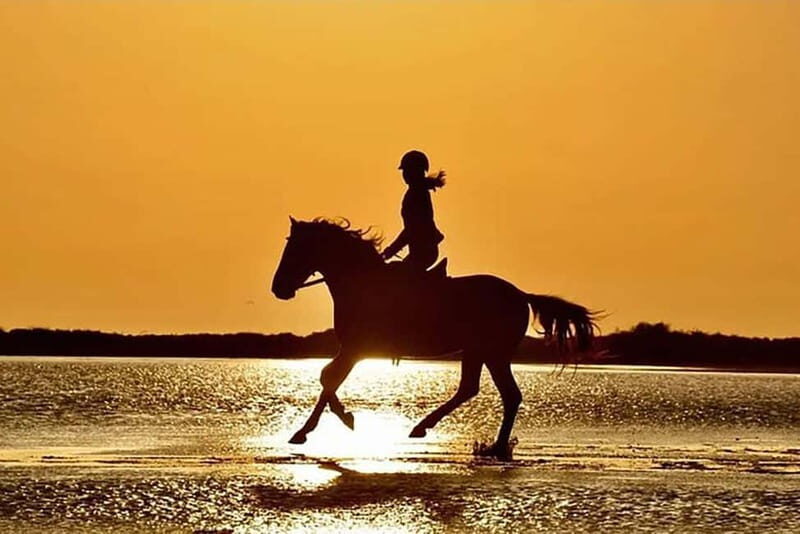 Manavgat Side: Horse Riding on the Beach and in the Forest - Key Points