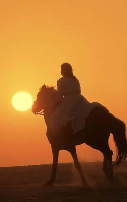 Manavgat Side: Horse Riding on the Beach and in the Forest - Value for Money