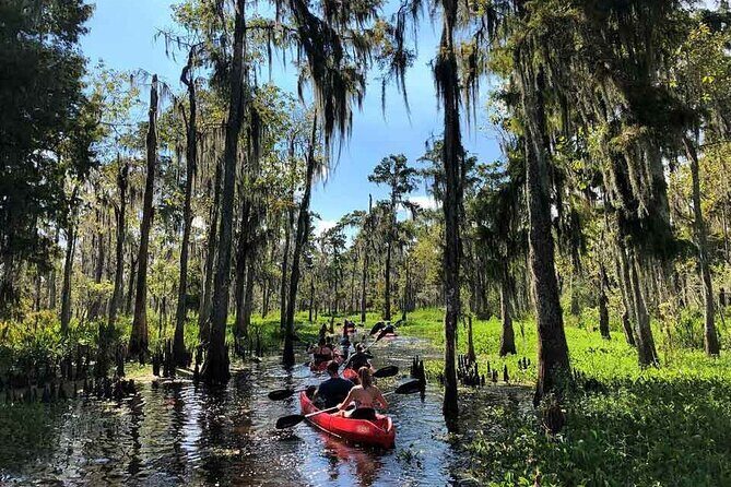 Manchac Swamp EXTENDED Kayak Tour with Pickup - A Detailed Look at the Itinerary
