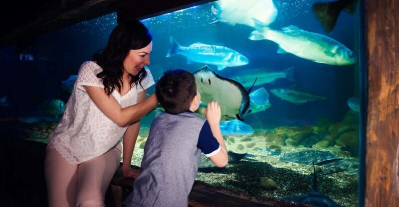 Manchester: SEA LIFE Entrance Ticket - Practical Details and Visitor Tips