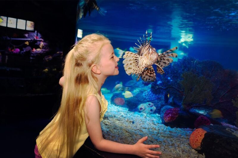 Manchester: SEA LIFE Entrance Ticket - Authentic Visitor Insights